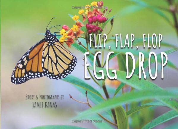 Flip, Flap, Flop...Egg Drop! : Amazon.in: Books