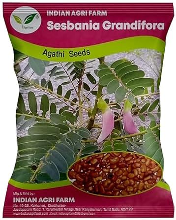 Iagrifarm Sesbania/Agathi/Gaach Munga/August Tree/Humming Bird Tree ...