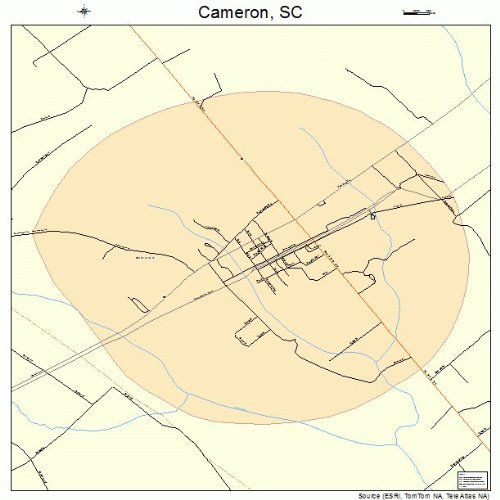 Large Street & Road Map of Cameron, South Carolina SC - Printed poster ...