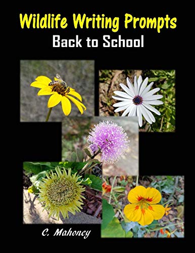 Buy Wildlife Writing Prompts (Back to School) Book Online at Low Prices ...