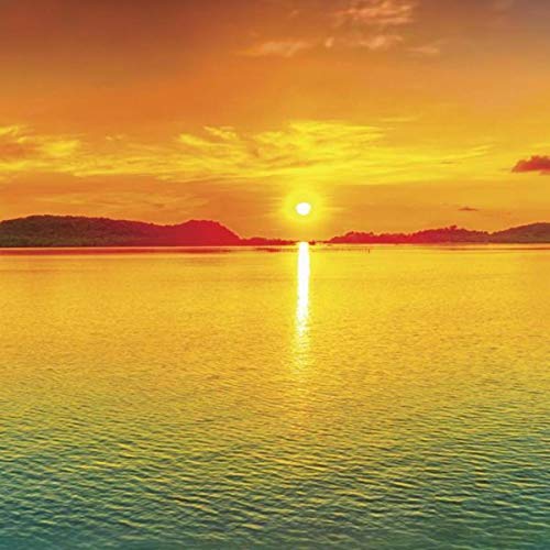 Play Under The Dong by Insesto Shroomin feat. Quidong Thunderqui ...