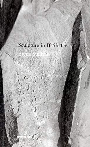 Sculpture in Black Ice (Salmon Poetry): Sullivan, Breda: 9781903392430 ...