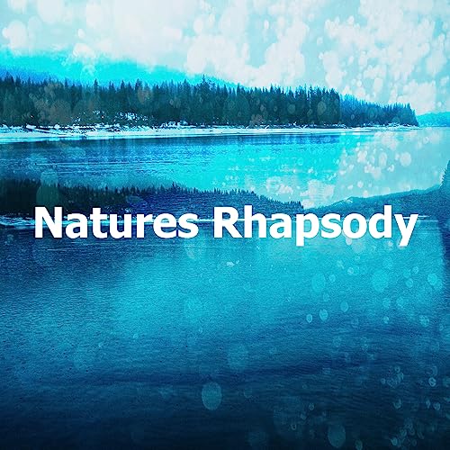 Fresh Stream – Die 15 besten Produkte im Vergleich - WinTotal