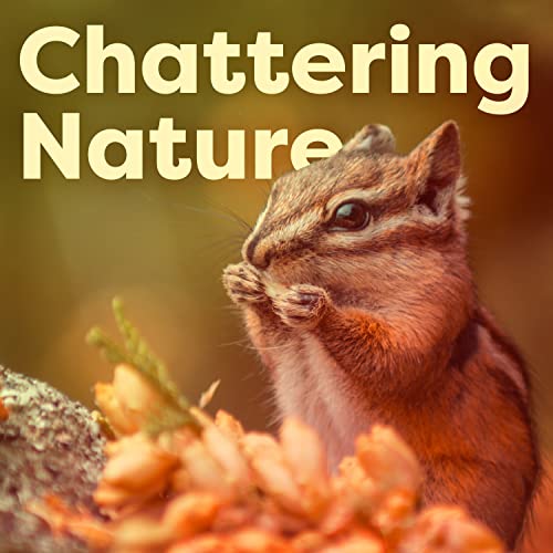 Passing Songs song by Sound Dreamer from Chattering Nature on Amazon Music