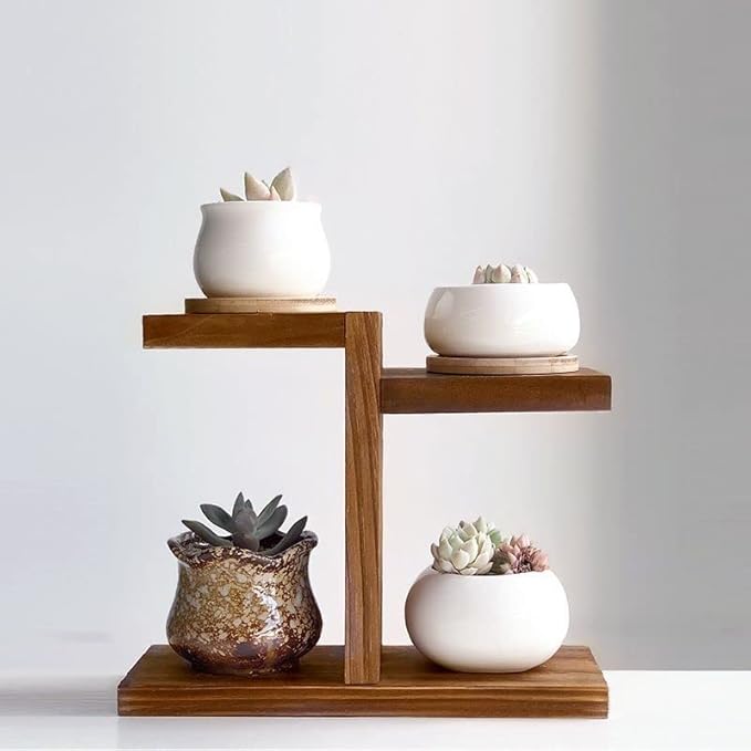 Amazon.com: Decoeco Wooden Desktop Plant Stand Indoor Windowsill Plant ...