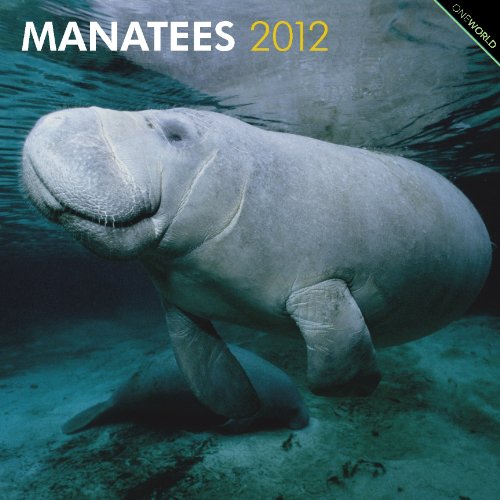 Manatees 2012 Square 12X12 Wall Calendar: BrownTrout Publishers Inc ...