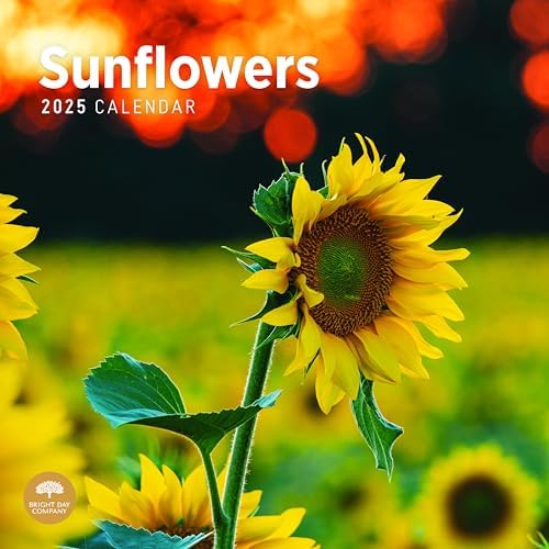 2025 Sunflowers Monthly Wall Calendar by Bright Day, 12 x 12 Inch ...