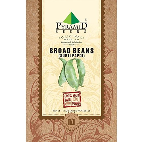 Pyramid Seeds Broad Beans (Surti Papdi) - 100g : Amazon.in: Home & Kitchen