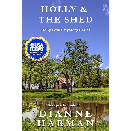 Amazon.com: Holly and the Ruined Party: A Holly Lewis Mystery (Audible ...