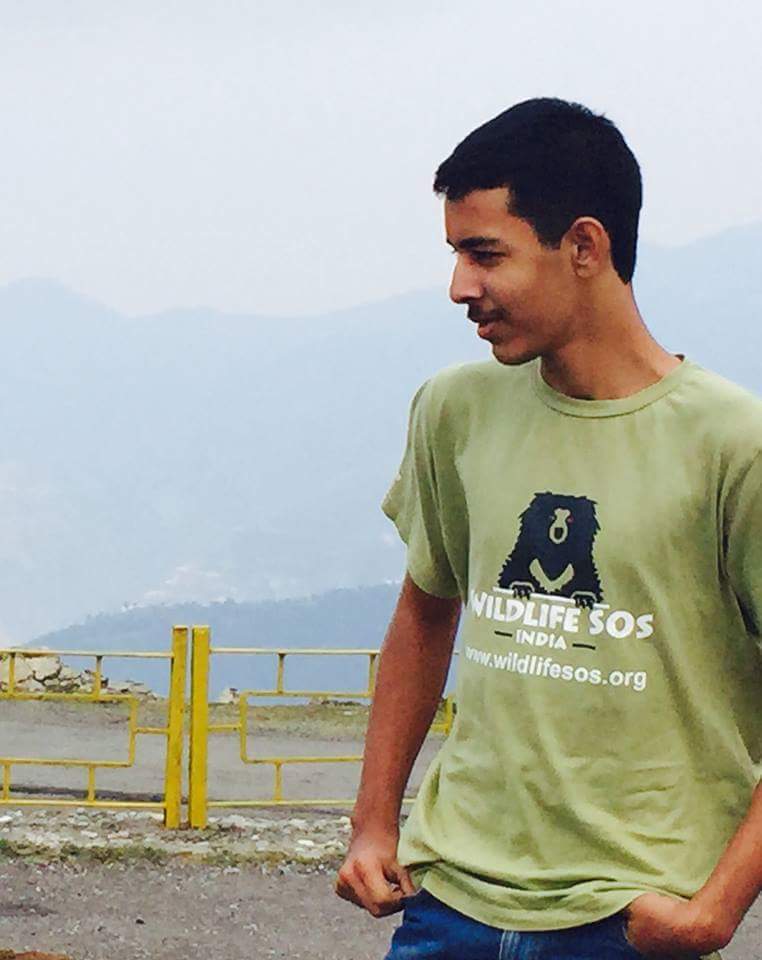 Amazon.co.jp: Neelaksh Miglani: books, biography, latest update