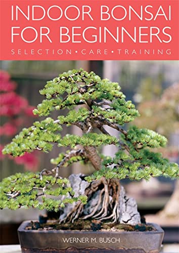 Top 10 Best Indoor Bonsai For Beginners : Reviews & Buying Guide - Katynel