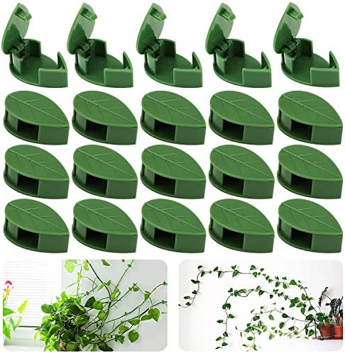Amazon.com : Kaoolaa Plant Clips for Climbing Plants（40 Pack）, Self ...