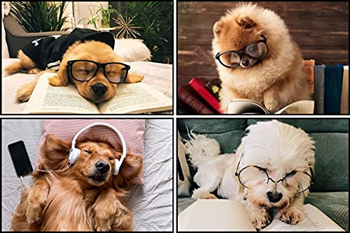 WePoster Cute Dog Puppy Poster for Wall | Dog Puppy Poster for Room ...