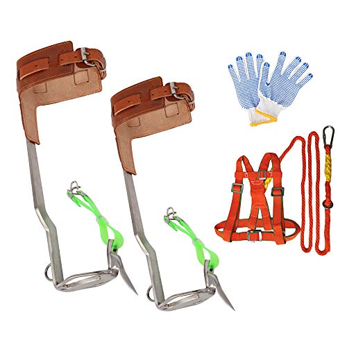 Amazon Best Sellers: Best Hunting Tree Steps