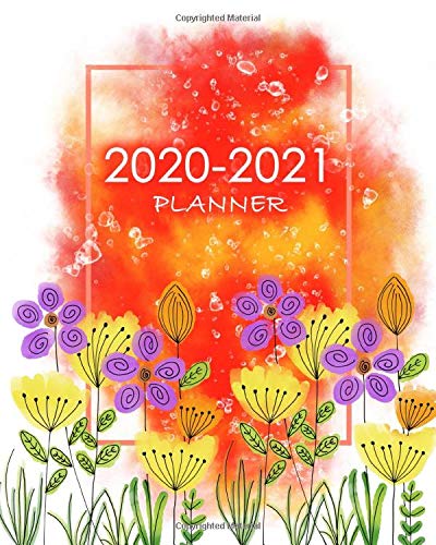 2020-2021 Planner: Weekly and Monthly Planner and Organizer: Jan 2020 ...