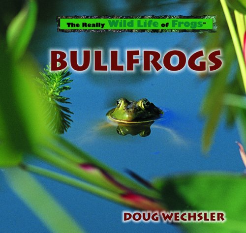 Bullfrogs (Really Wild Life of Frogs): Wechsler, Doug: 9780823958559 ...