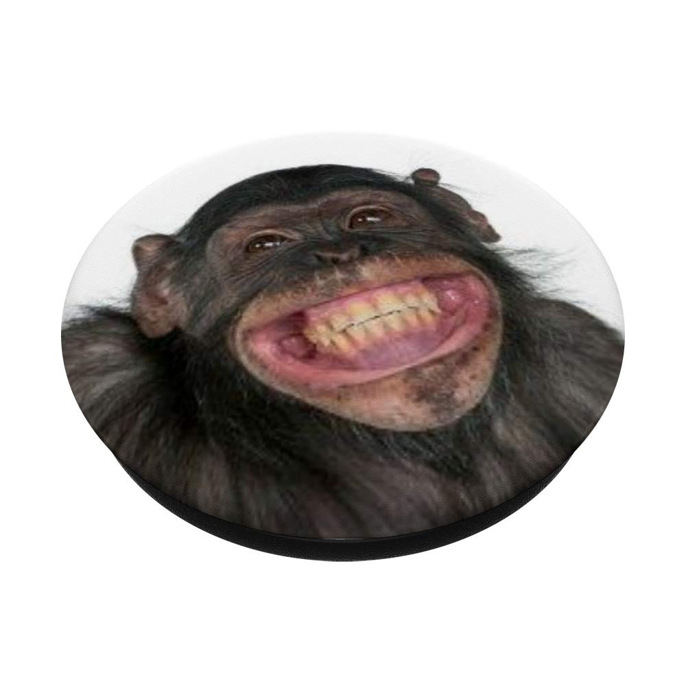 Disgusted Faces Monkey