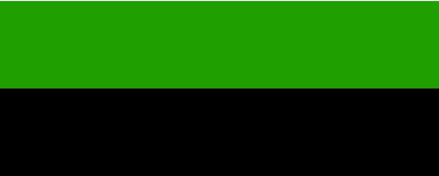 Amazon.com : magFlags Large Flag Neutrois | Neutrois Pride Flag ...