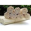 Pure Source India Reed Sticks for Diffuser 7.5 Inch, 20 pcs, Natural ...