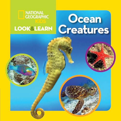 Fantastic Ocean and Sea Creature Books for Toddlers and Preschoolers