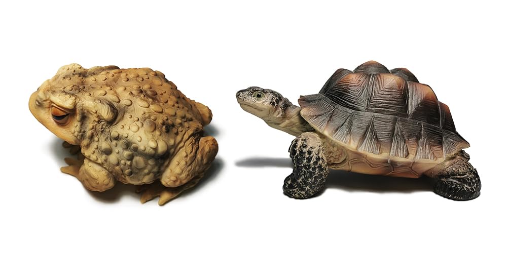 Amazon.com: Frog Toad and Turtle Tortoise Sculptures Garden Statues ...