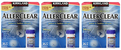 Buy Kirkland Signature Non Drowsy Allerclear Loratadine s ...