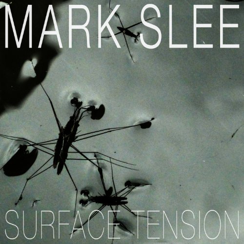 Amazon.com: Surface Tension : Mark Slee: Digital Music