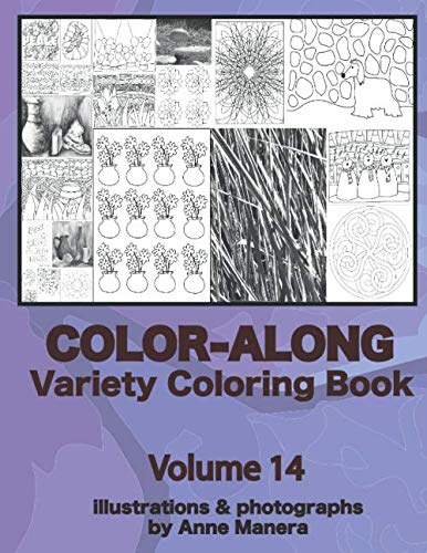 Amazon.com: Color Along Variety Coloring Book Volume 14: 9781708833978 ...