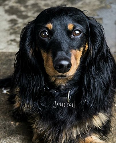 Journal: Dachshund: Publications, Dreamflight: 9781973268796: Amazon ...