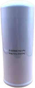 Amazon.com: BANGTE 6668819 Hydraulic oil filter 6598903 P163323 ...