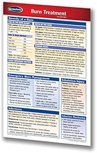 Burn Treatment Guide Pocket Chart - Medical Quick Reference Guide by Permacharts : Amazon.co.uk ...