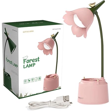 Pink Desk Lamp, Cute Lamp for Kid, Rechargeable LED Lamp with USB ...