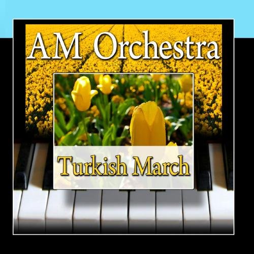 Amazon.com: Turkish March: CDs & Vinyl