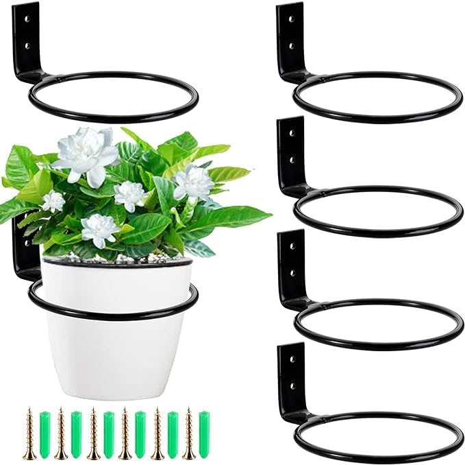 Crafties Art Pack of 6 Wall Mount Flower Pot 10 cm Flower Pot Holder ...