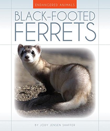 Amazon | Black-Footed Ferrets (Endangered Animals) | Shaffer, Jody ...