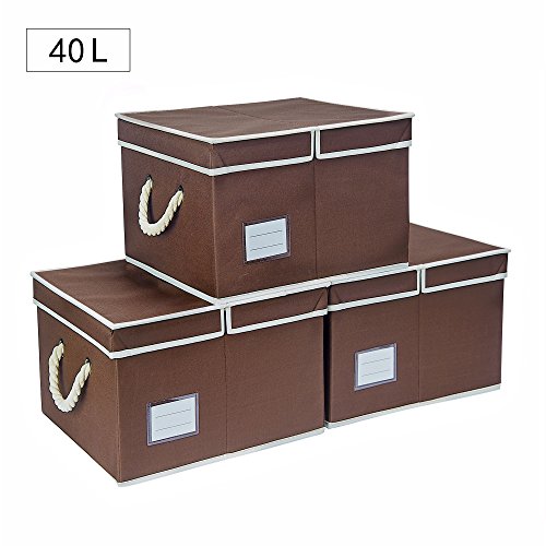 StorageWorks Polyester Canvas Storage Box with Double-Open Lid ...