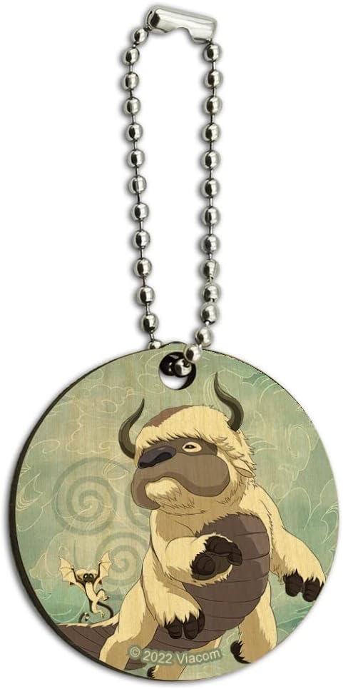 Amazon.com: Avatar The Last Airbender Appa & Momo Wood Wooden Round ...