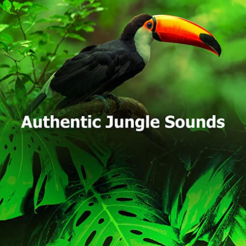 Play Authentic Jungle Sounds by Jungle Sounds on Amazon Music