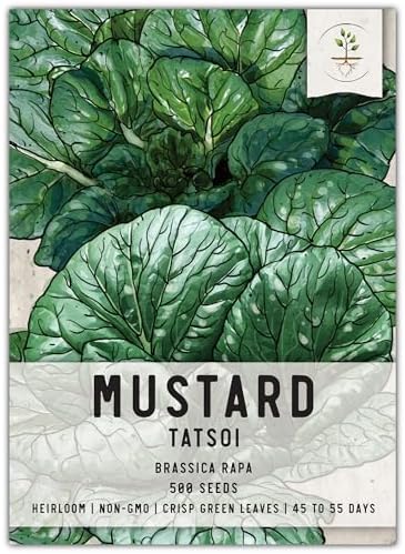 Amazon.com : Mustard Green Seed Collection - 4 Packets for Planting ...