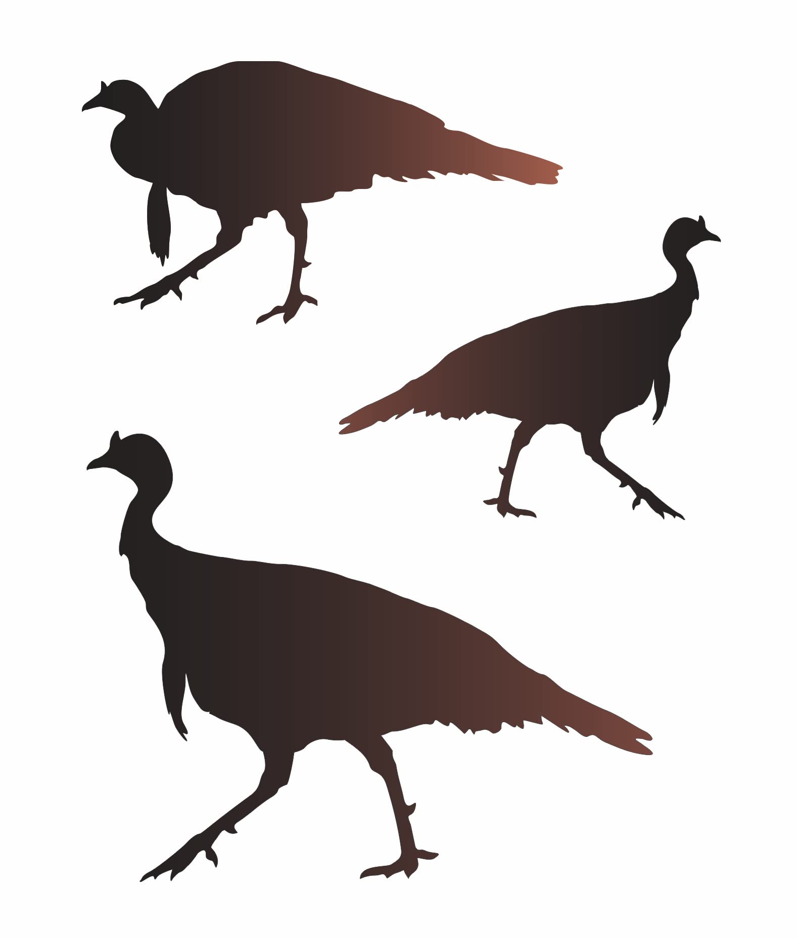 Wild Turkey Stencil