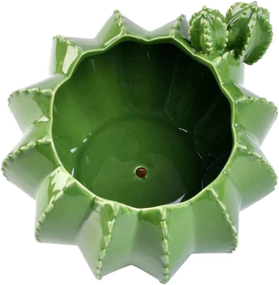 Amazon.com : DOITOOL Cactus Shaped Ceramic Flower Pot with Drainage ...