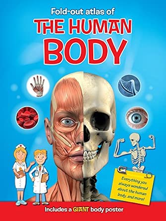 MY FOLD OUT ATLAS HUMAN BODY : Terry Alton: Amazon.in: Books