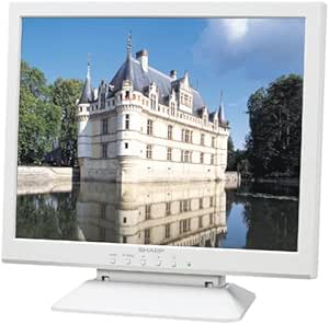 Amazon.com: Sharp LL-T15G3 15" LCD Monitor : Electronics