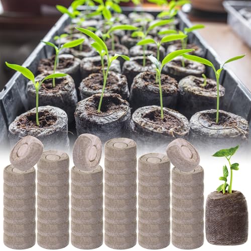 Threehoney 1000 Pcs 30mm Seed Peat Pellets Bulk Seed Starter Soil Pods ...