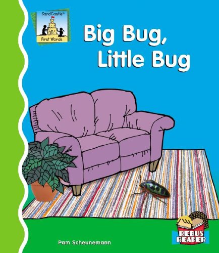 Amazon.com: Big Bug, Little Bug (First Words): 9781596793569 ...