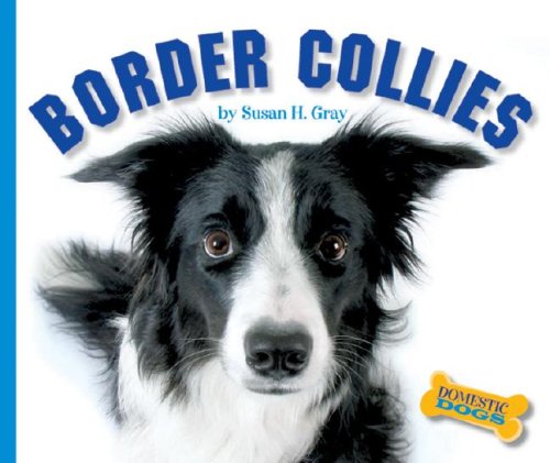 Border Collies (Domestic Dogs): Gray, Susan Heinrichs: 9781592967728 ...