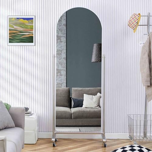 Amazon.com: AISUNDY Full Length Mirror with Rolling Wheels, 65"x23 ...