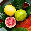 Amazon.com : Pink Guava Tree Live Plant, Live Guava Trees Plant, Guava ...