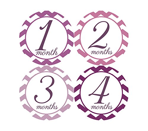 Amazon.com: Purple Chevron Month Stickers - Set of 16 - Like Shown ...