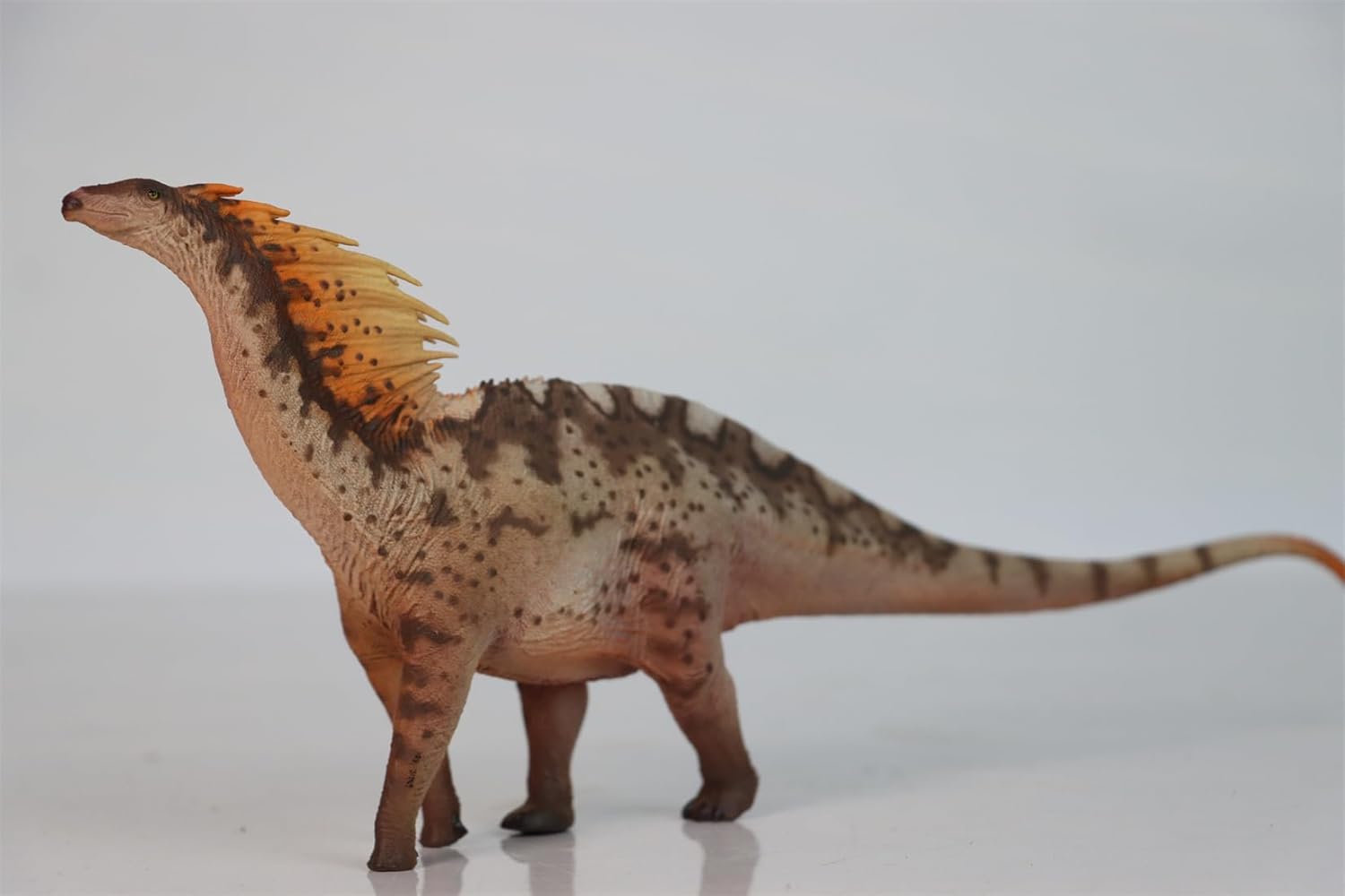 Amazon.com: WLNTDOLA 1:35 Scale Amargasaurus Model Dinosaur Figure ...